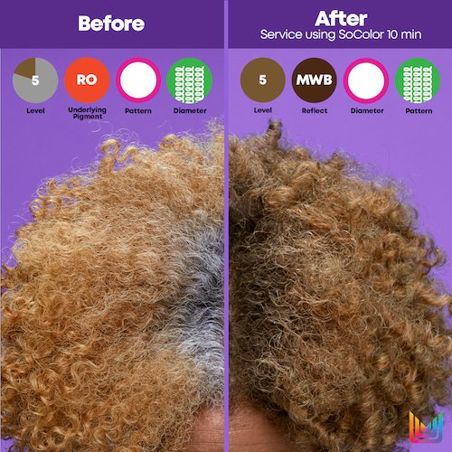 how long does matrix socolor process