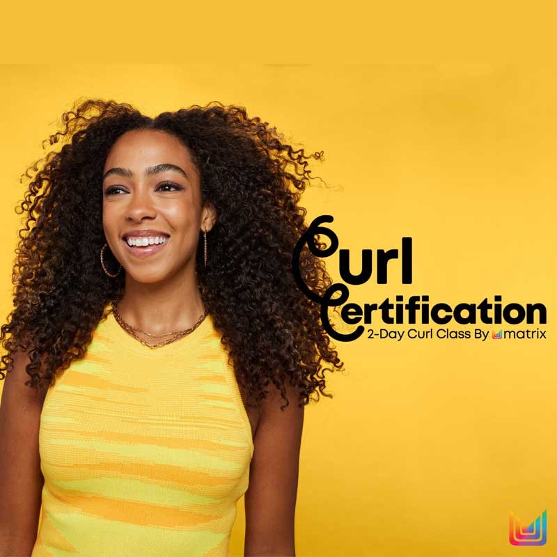 the matrix certificate